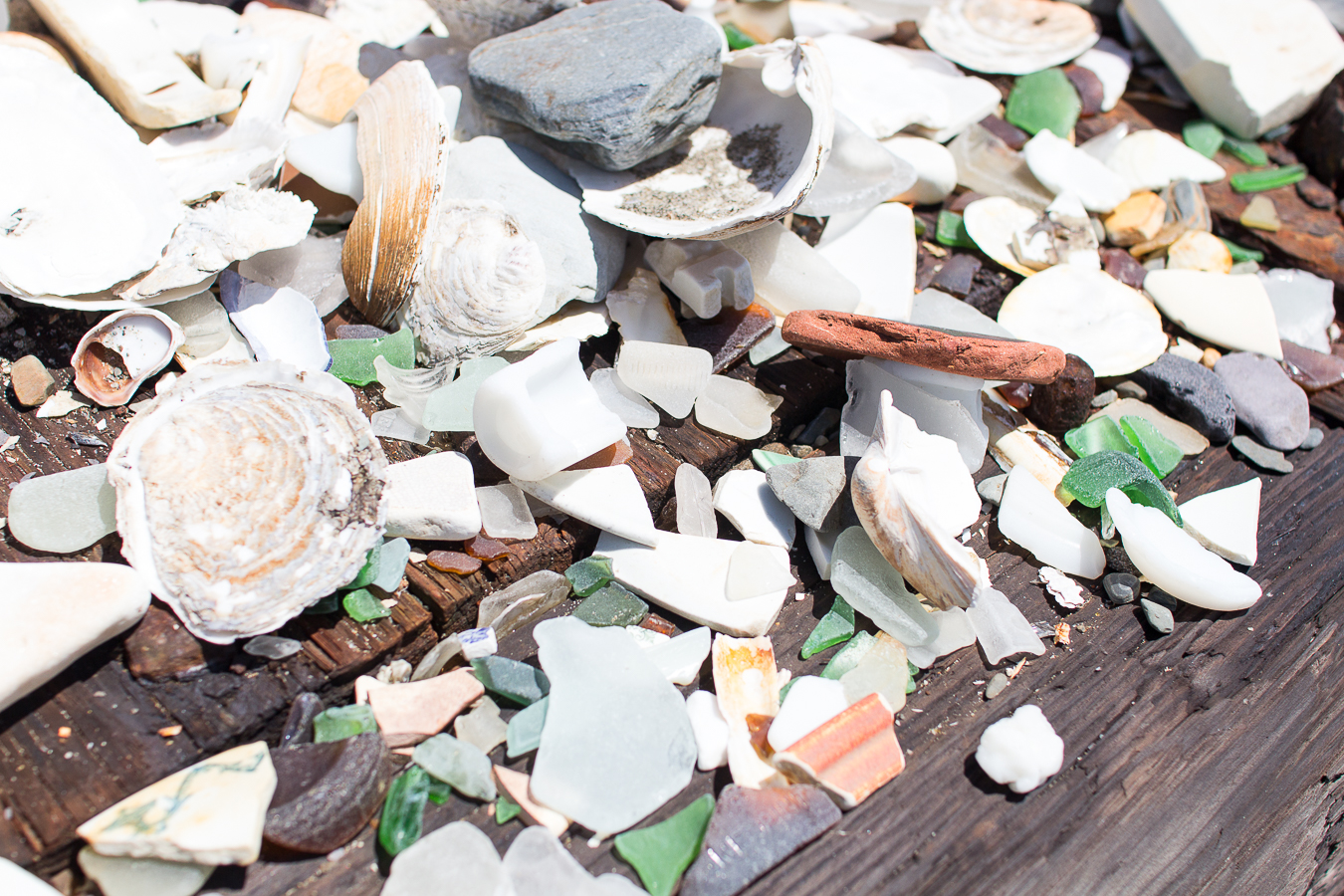 Inspiring Places: Spectacle Island - Finding Silver Pennies