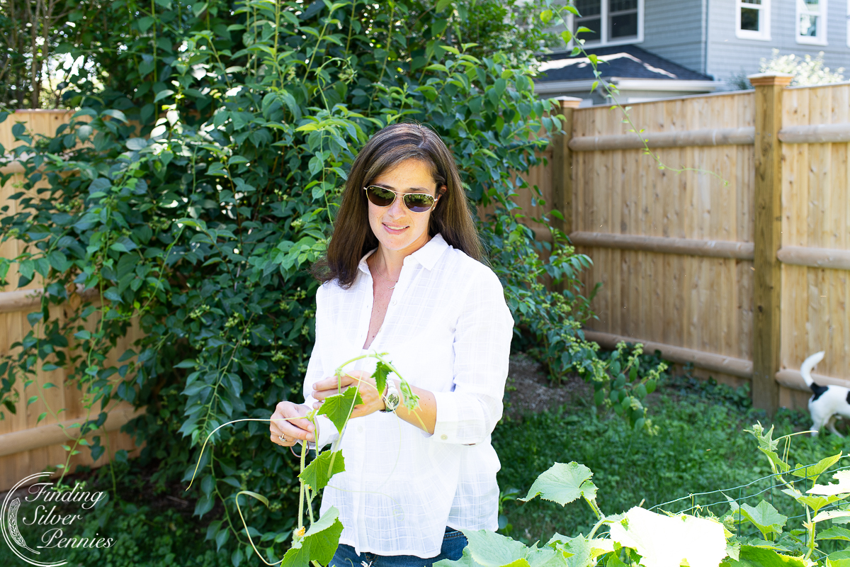 Our Garden - Finding Silver Pennies