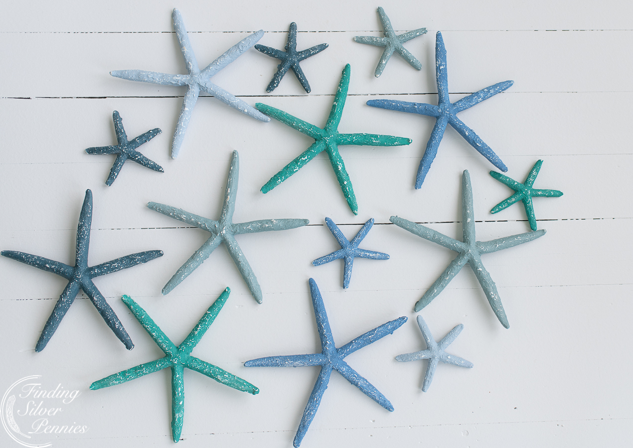 Saltwash Starfish - Finding Silver Pennies