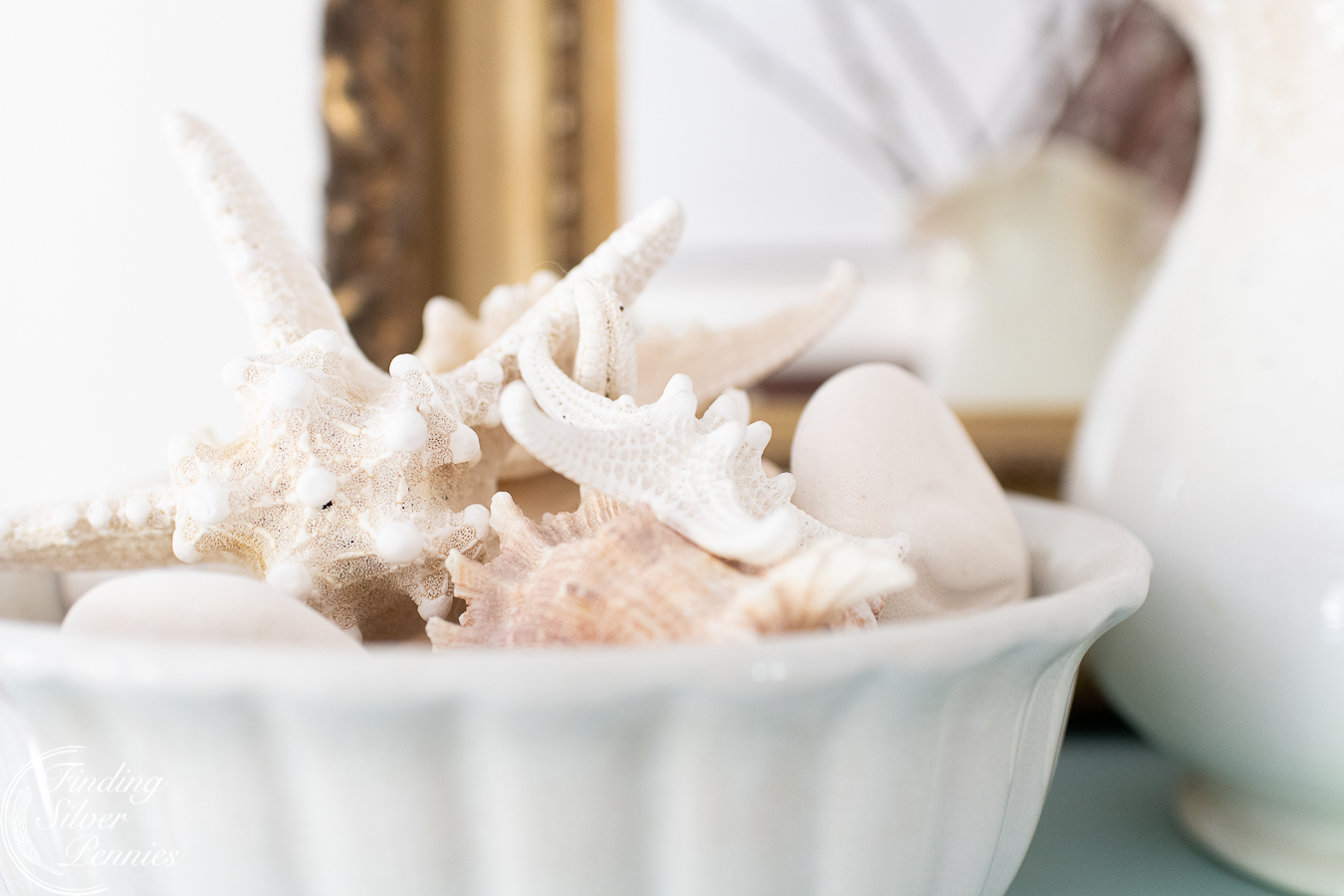 Decorating with Seashells - Finding Silver Pennies