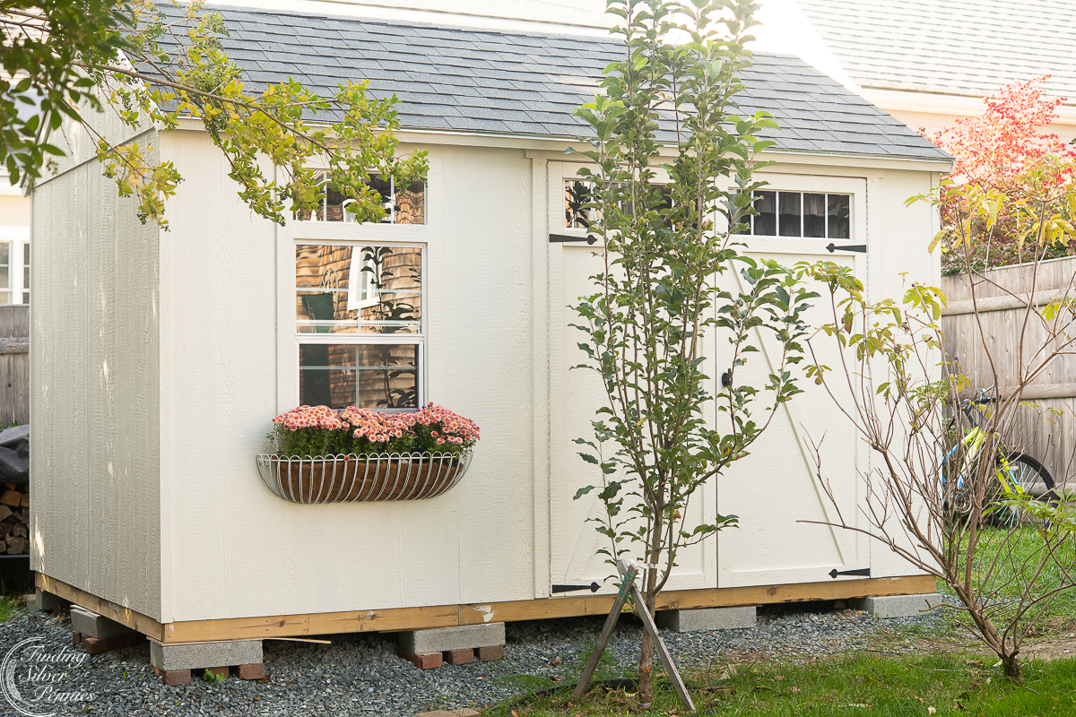 Garden Shed - Finding Silver Pennies