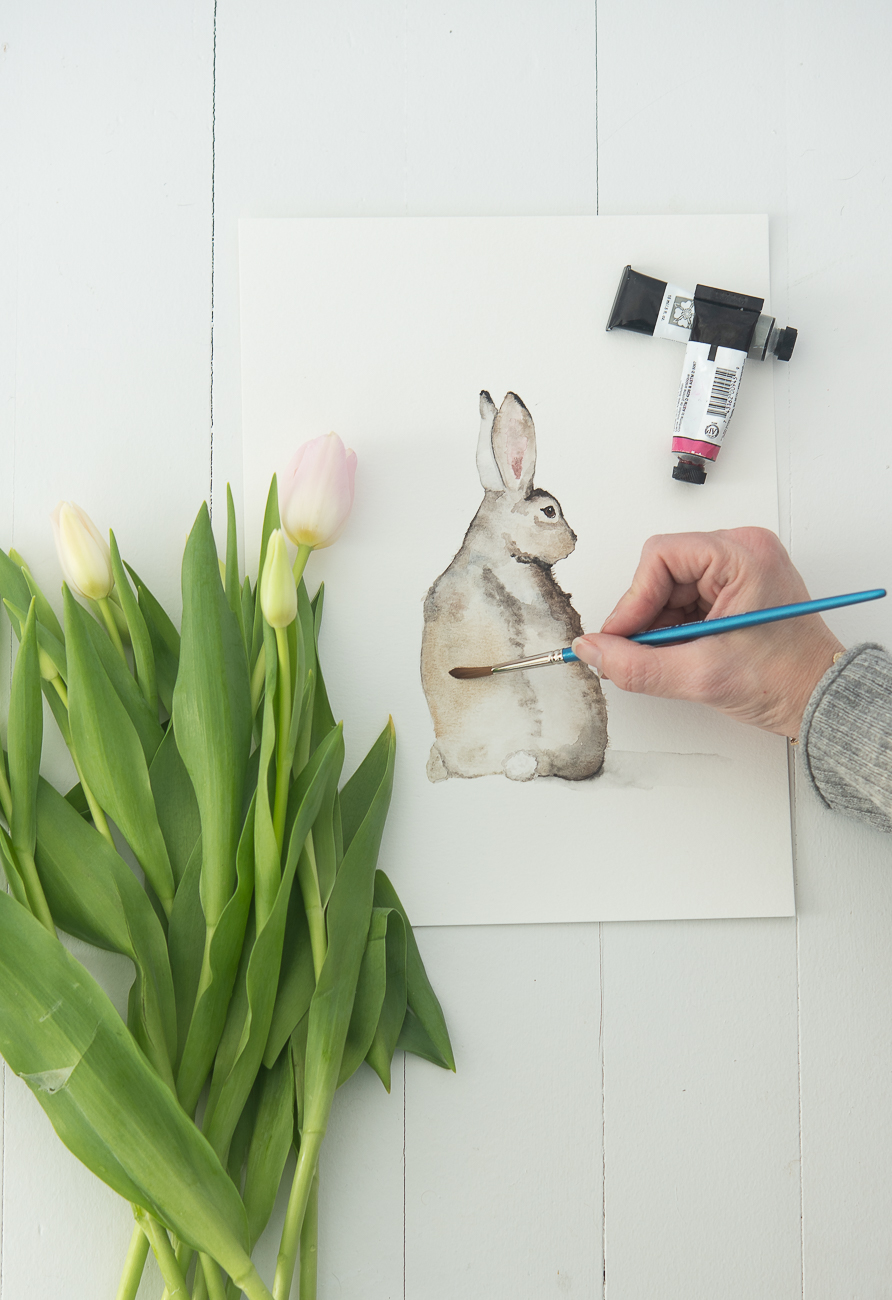 Introducing Our Cottontail Bunny Collection - Finding Silver Pennies